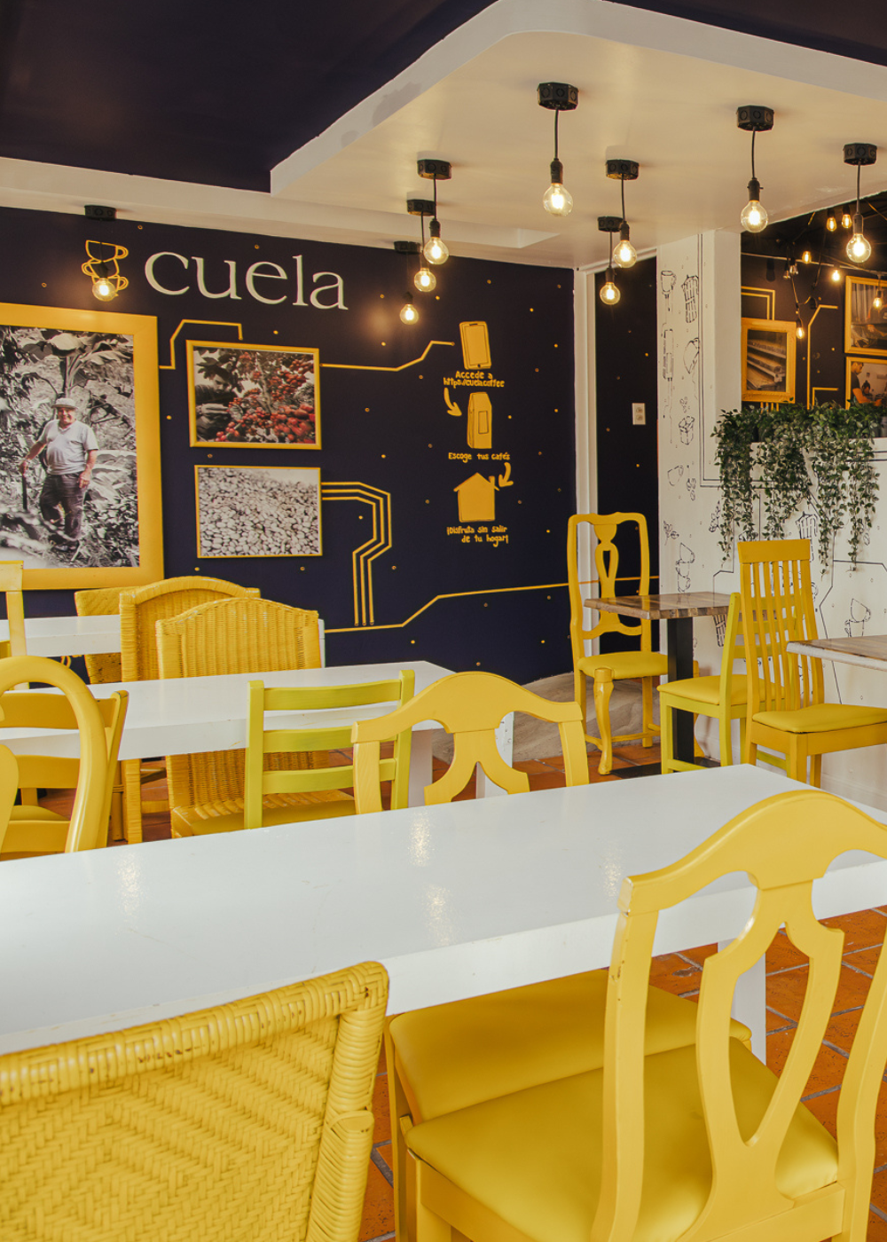 Cuela - café de Puerto Rico