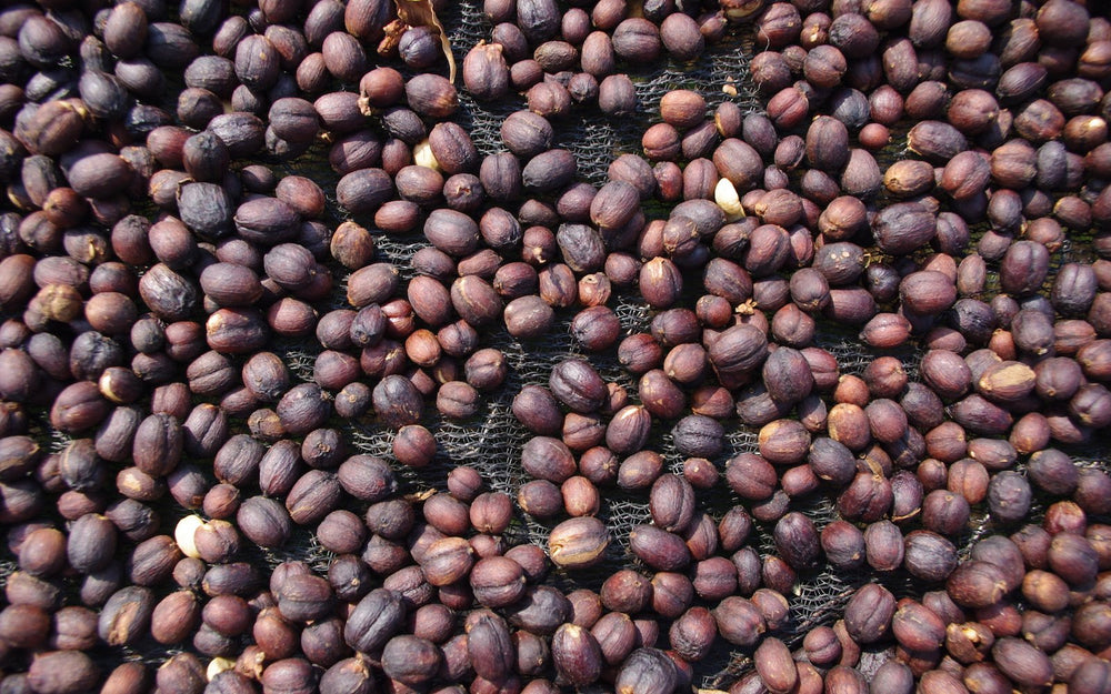 Subscribe to our newsletter